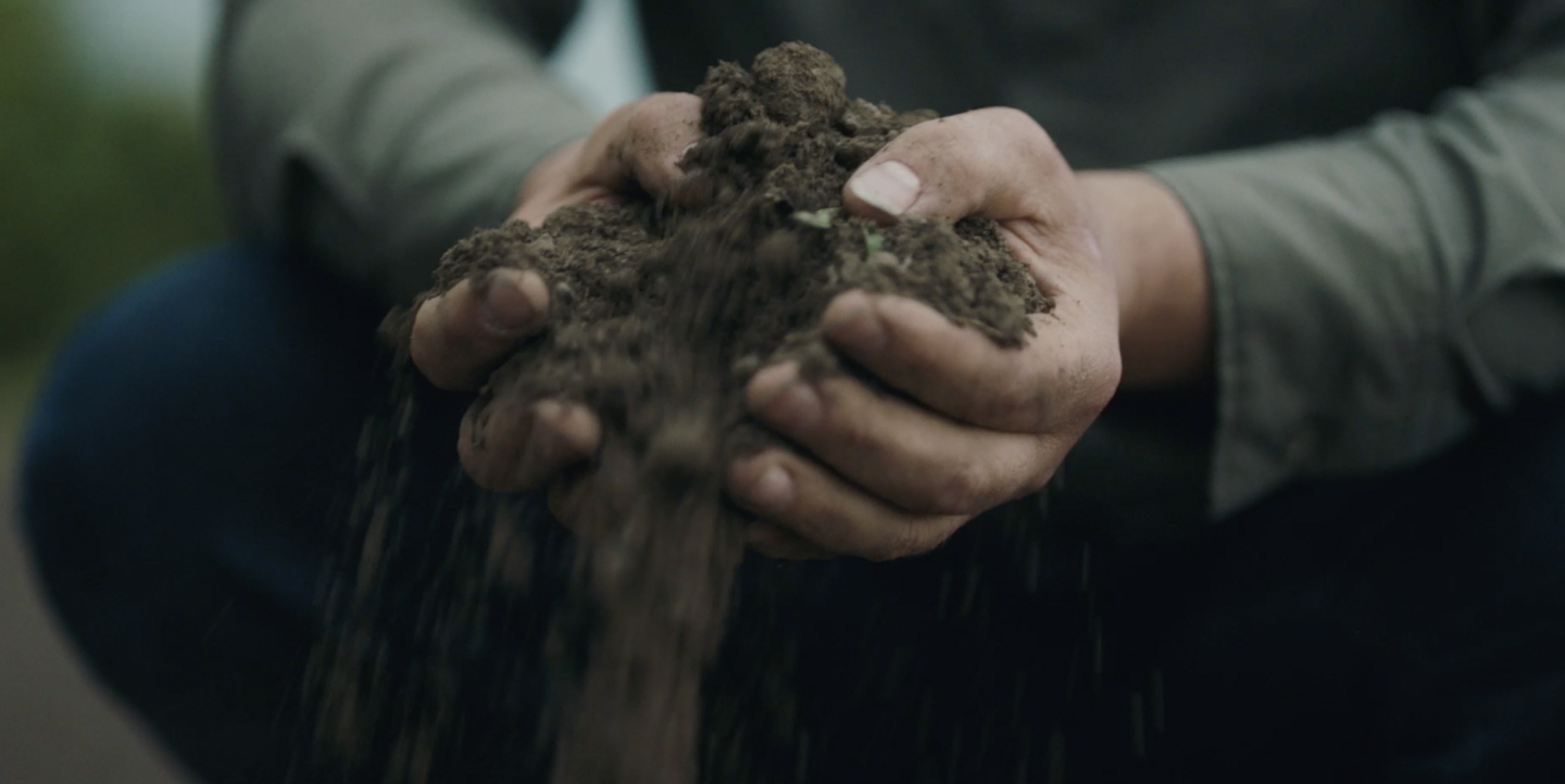 The Farm Kitchen: Fresh, Organic, and Local Dining